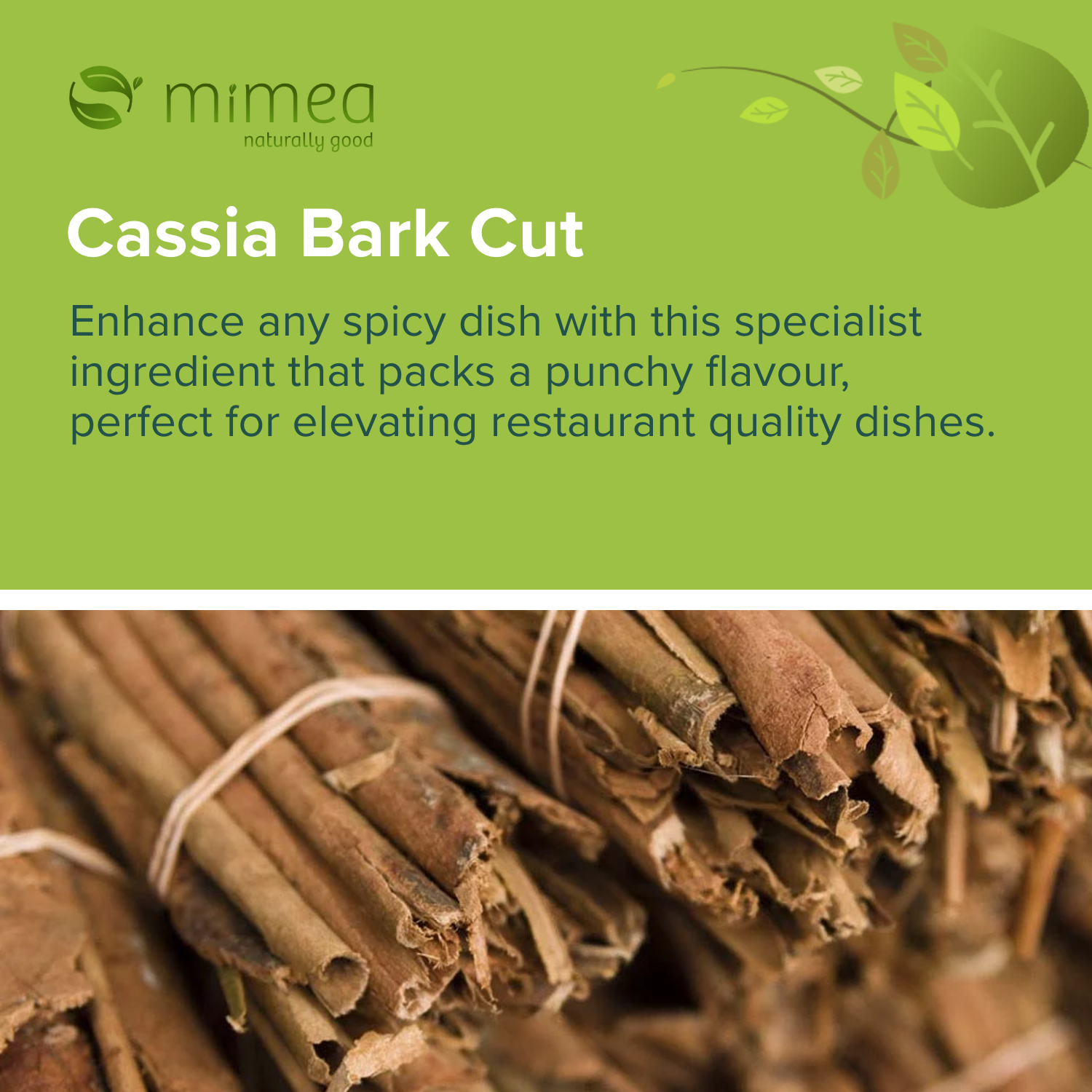Cinnamon Tree Bark